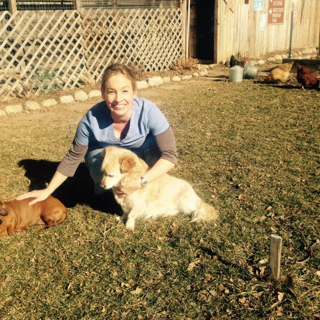 Team - Blue Heron Consulting