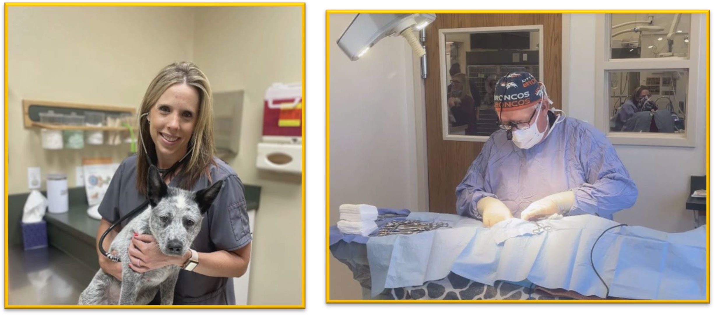 Fremont Veterinary Hospital - Blue Heron Consulting