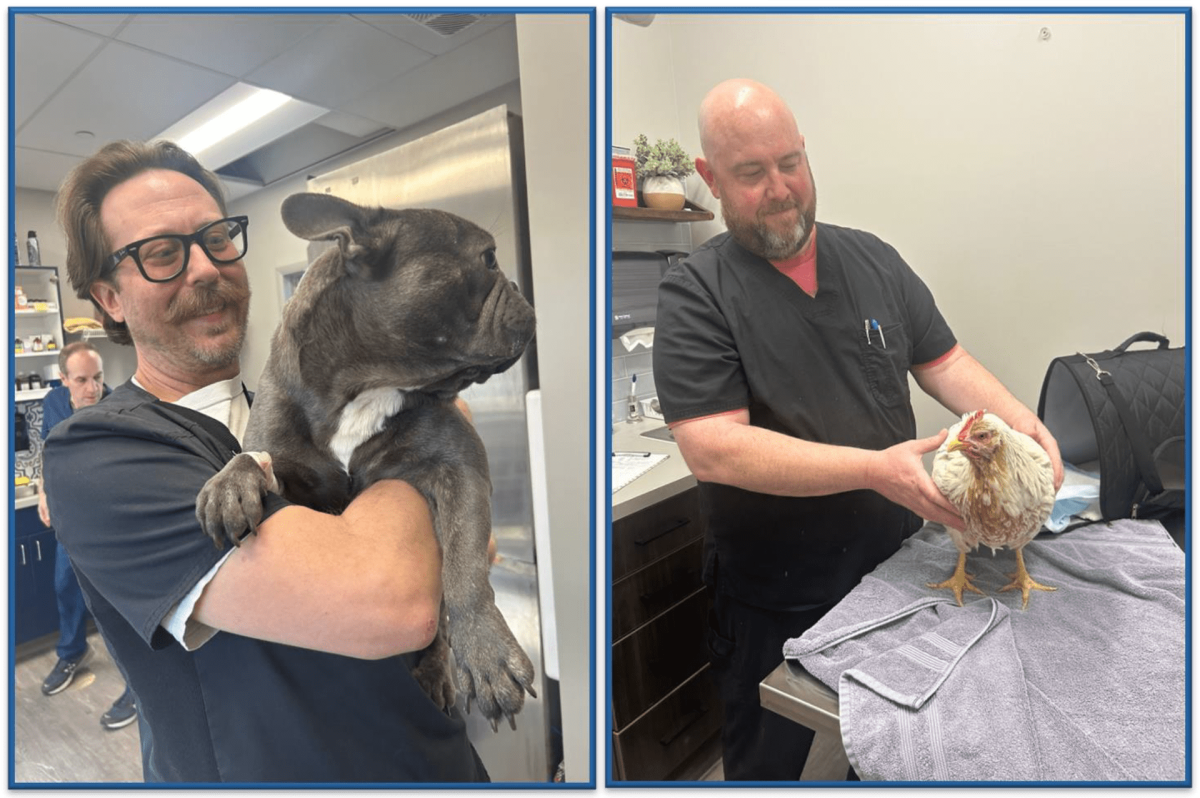 Spring Hill Veterinary Clinic - Blue Heron Consulting