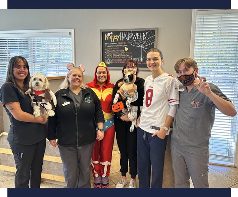 Pyramid Veterinary Hospital - Blue Heron Consulting