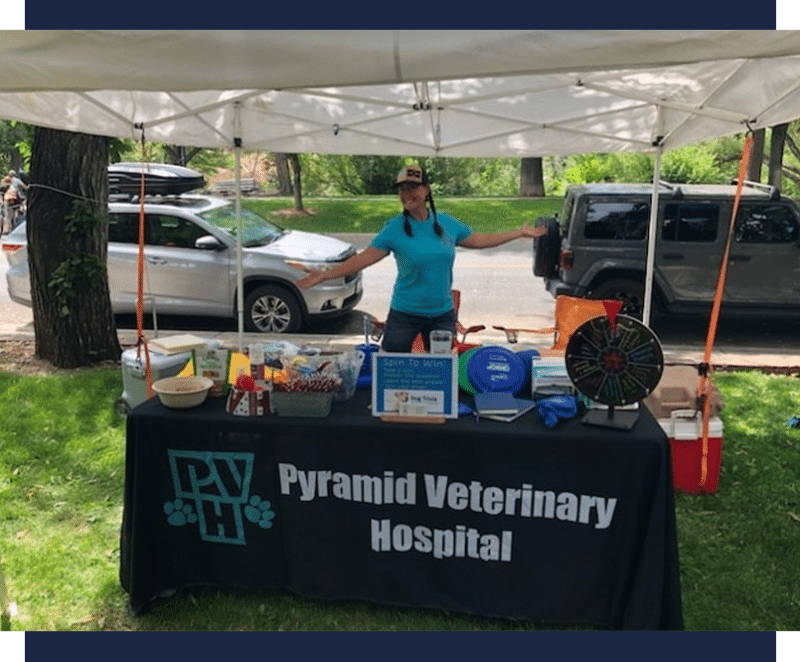 Pyramid Veterinary Hospital - Blue Heron Consulting